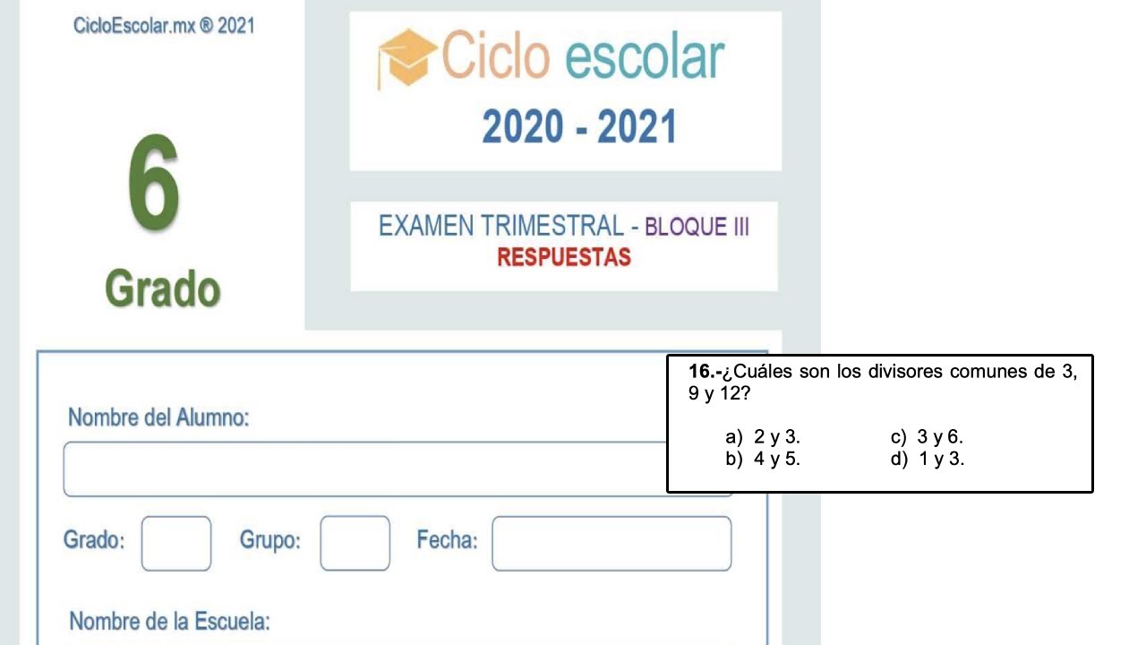 Divisores comunes de 3 9 y 12: ¿cuáles son? - Matemáticas fáciles para ...