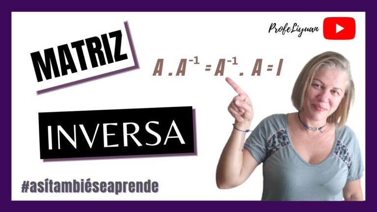 Concepto y definición de la matriz inversa - Matemáticas fáciles para todos